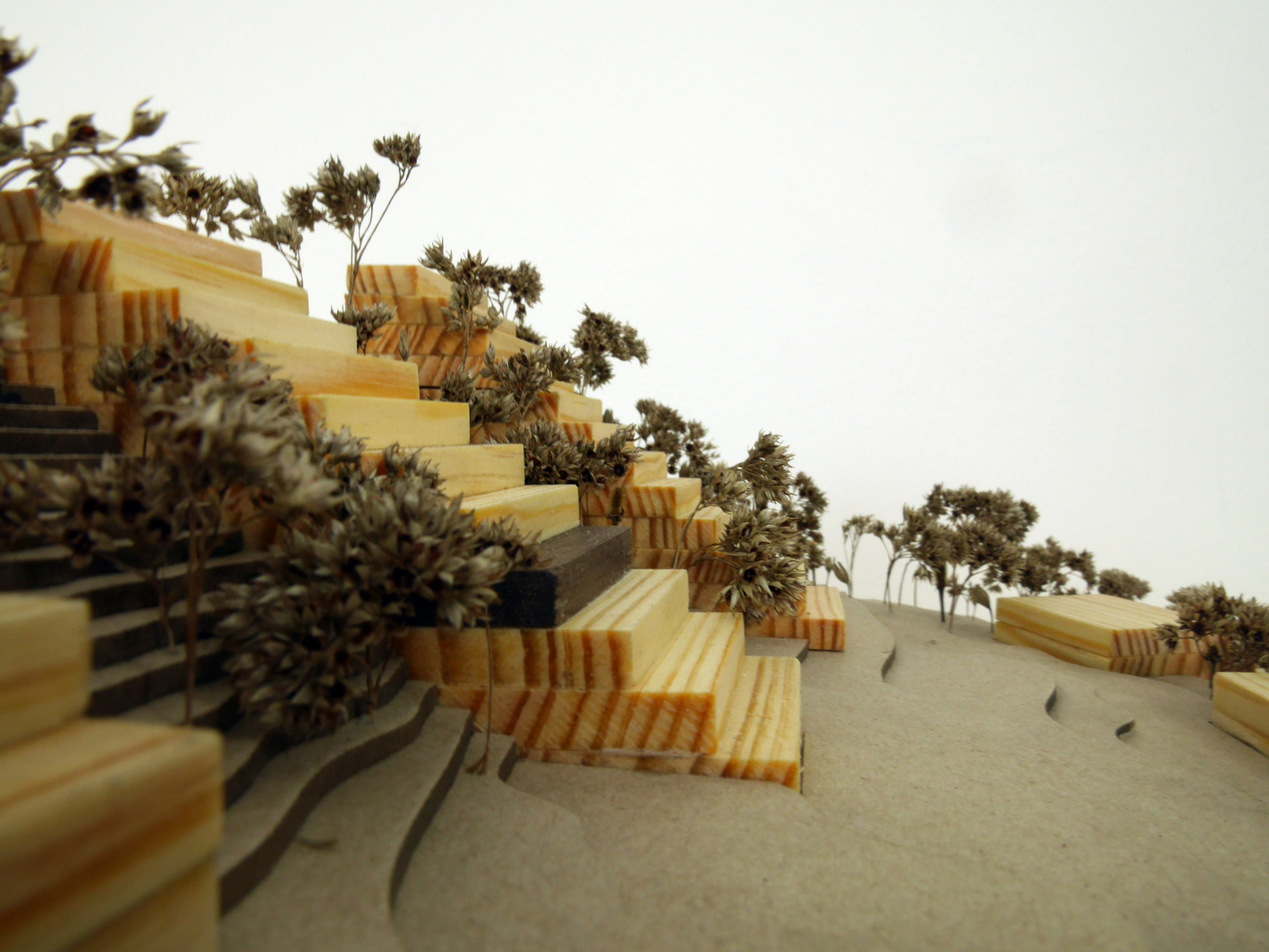 Terrace House - Page 3 of 5 - CHALMERS SCHOOL OF ARCHITECTURE