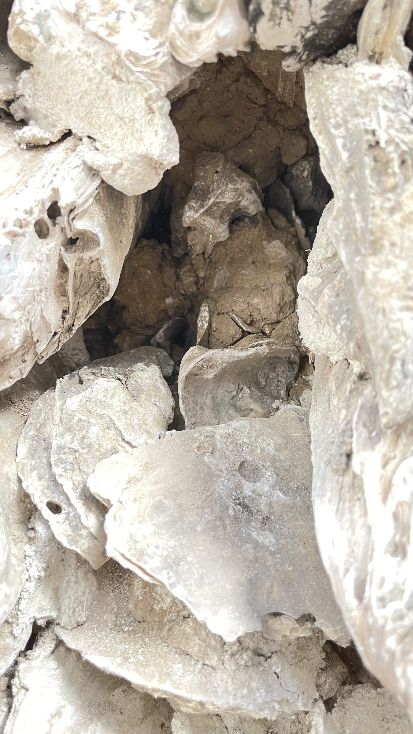 Haihong Huang - Page 2 of 7 - CHALMERS SCHOOL OF ARCHITECTURE