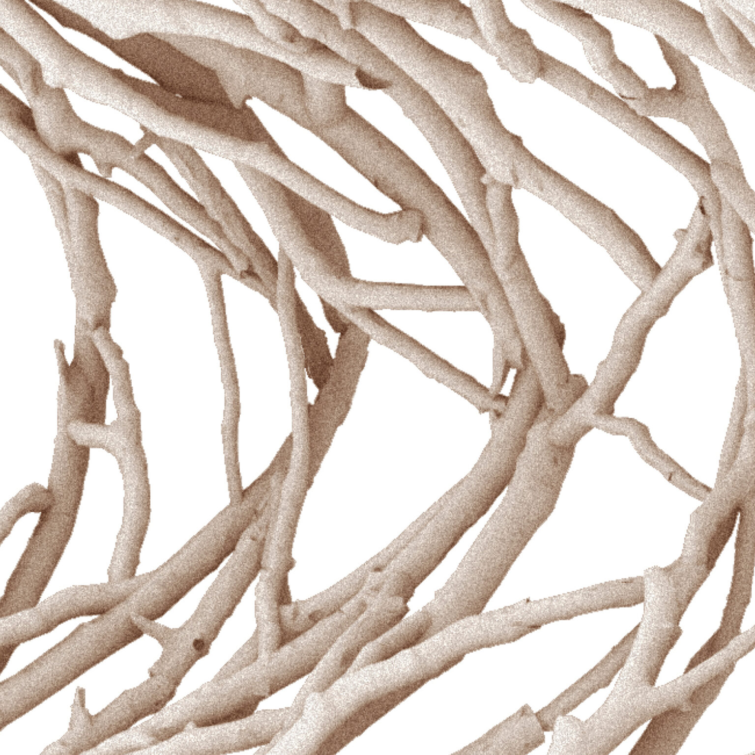 MASTER´S THESIS 2024 - CHALMERS SCHOOL OF ARCHITECTURE